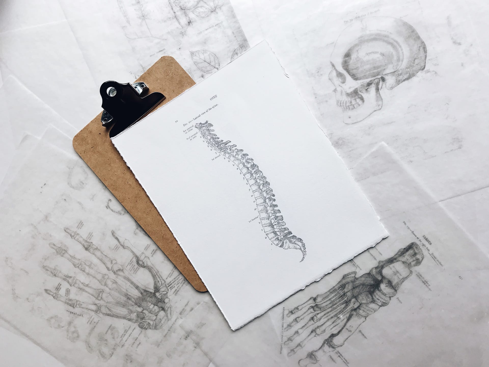 What Is Osteopathy? Benefits, Approach & What to Expect